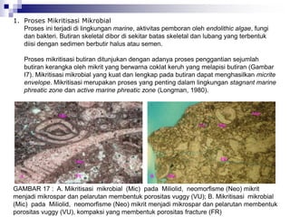 materi kuliah DIAGENESA batuan KARBONATT | PPT