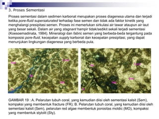 materi kuliah DIAGENESA batuan KARBONATT | PPT