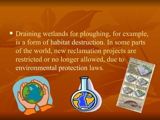 3 Land Reclamation Ppt | PPT