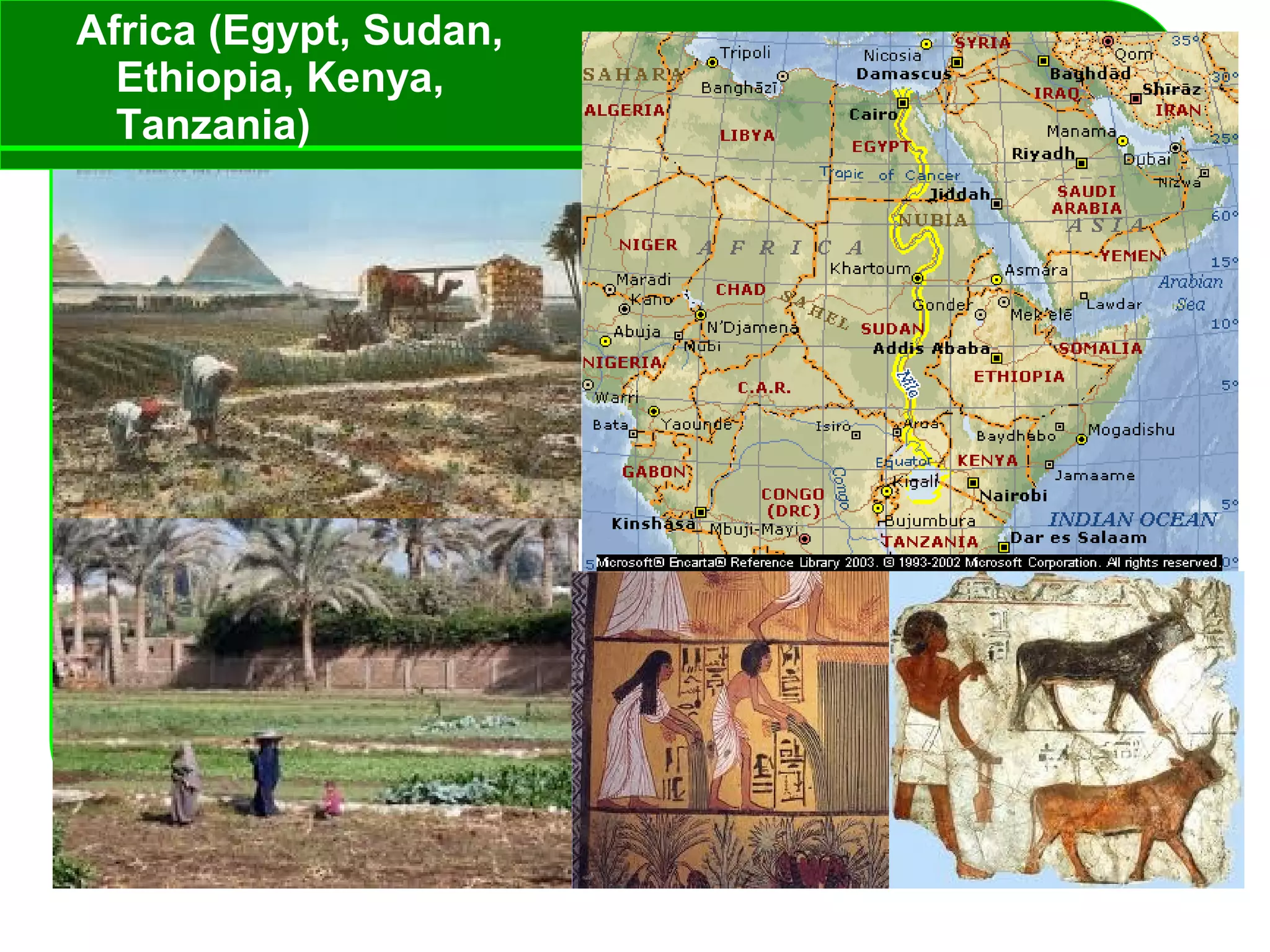 The Origin of Agriculture | PPT