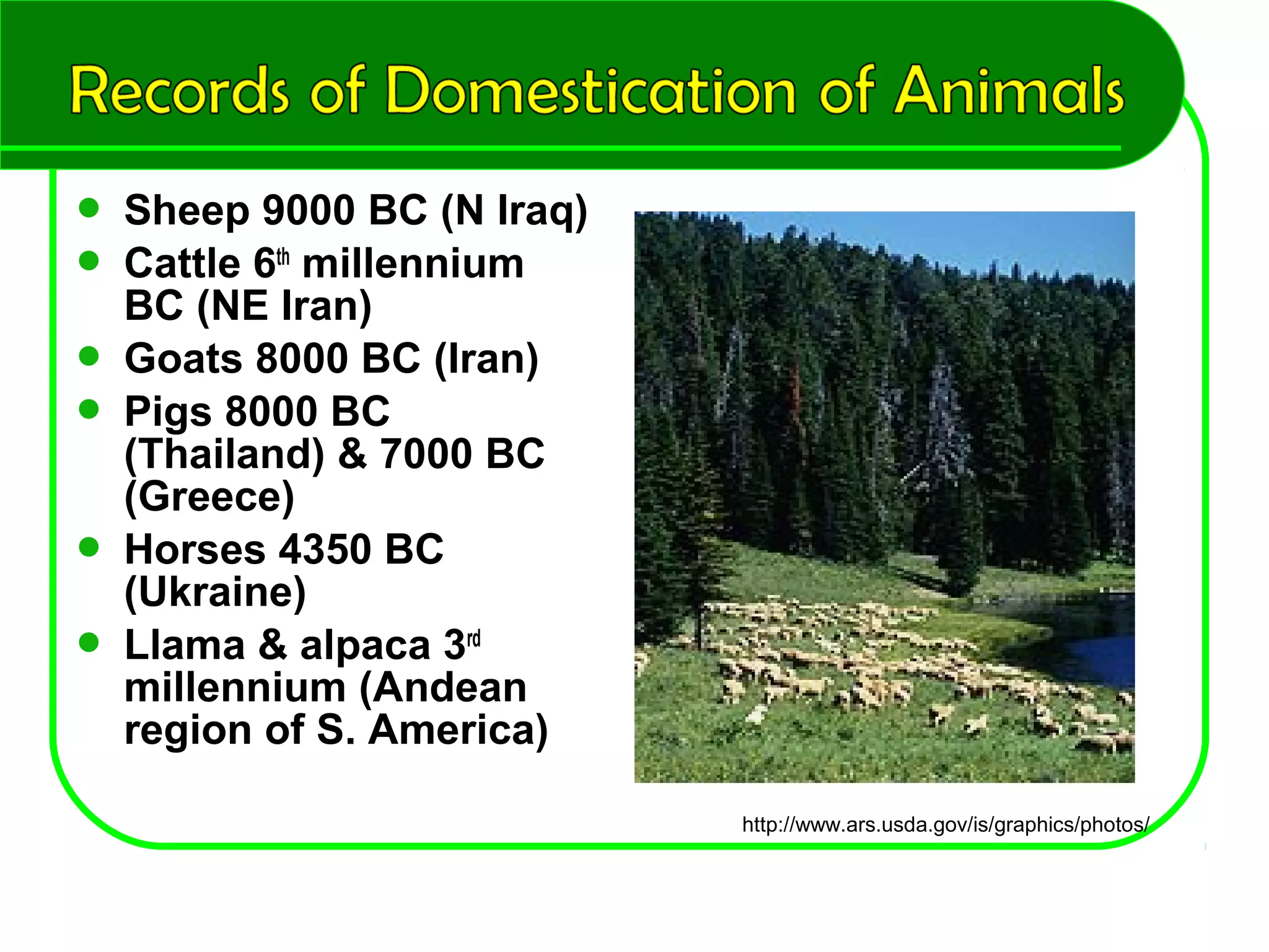 The Origin of Agriculture | PPT
