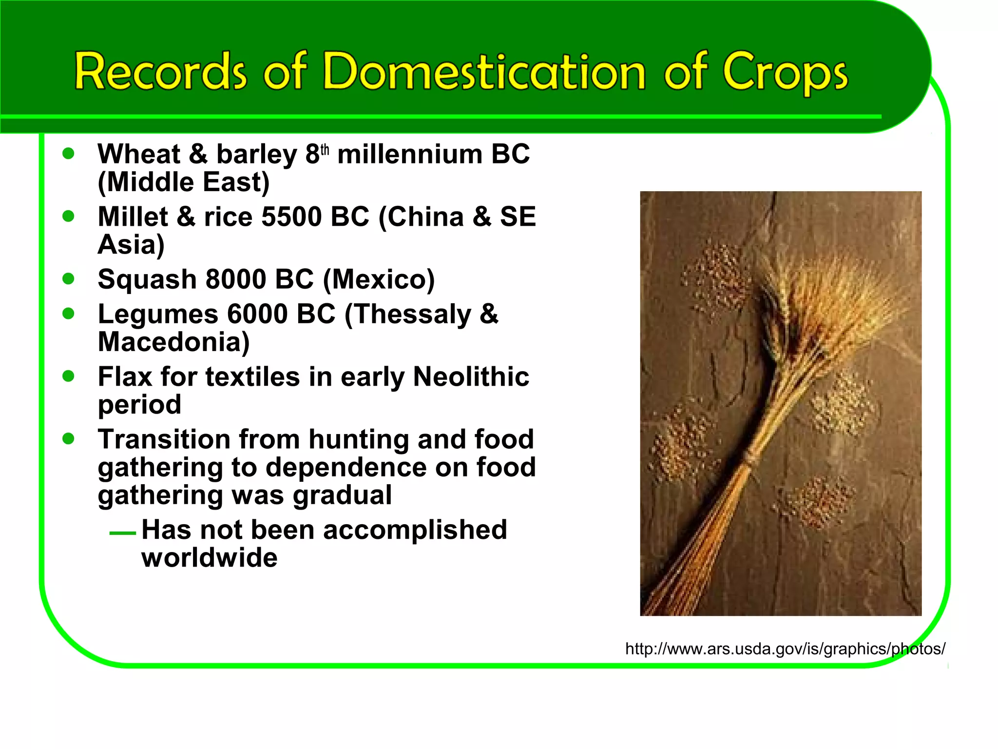 The Origin of Agriculture | PPT
