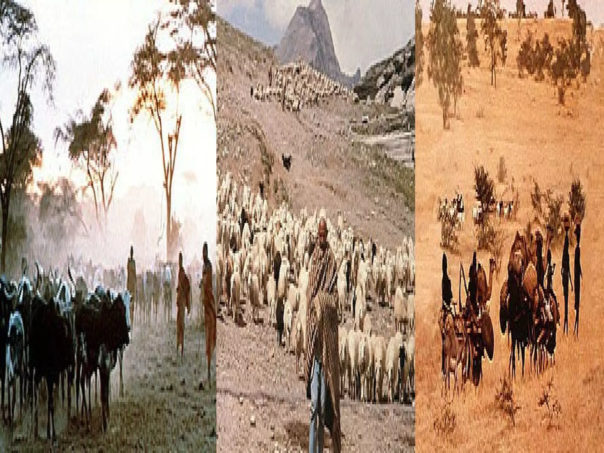 The Origin of Agriculture | PPT