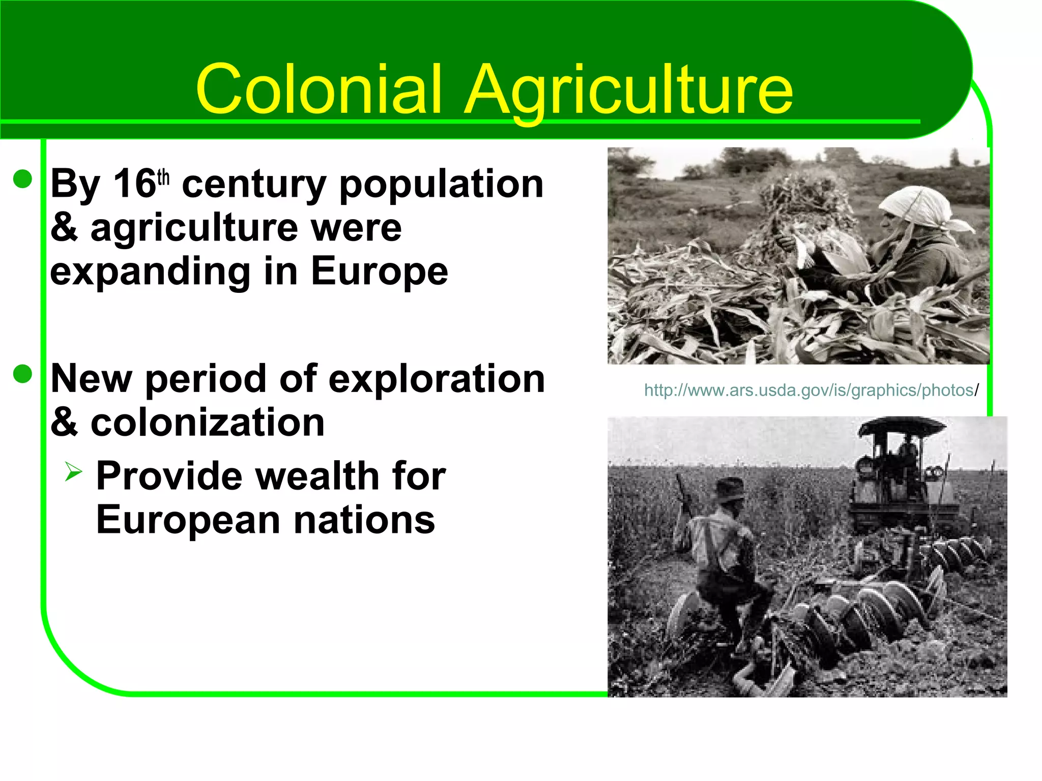 The Origin of Agriculture | PPT