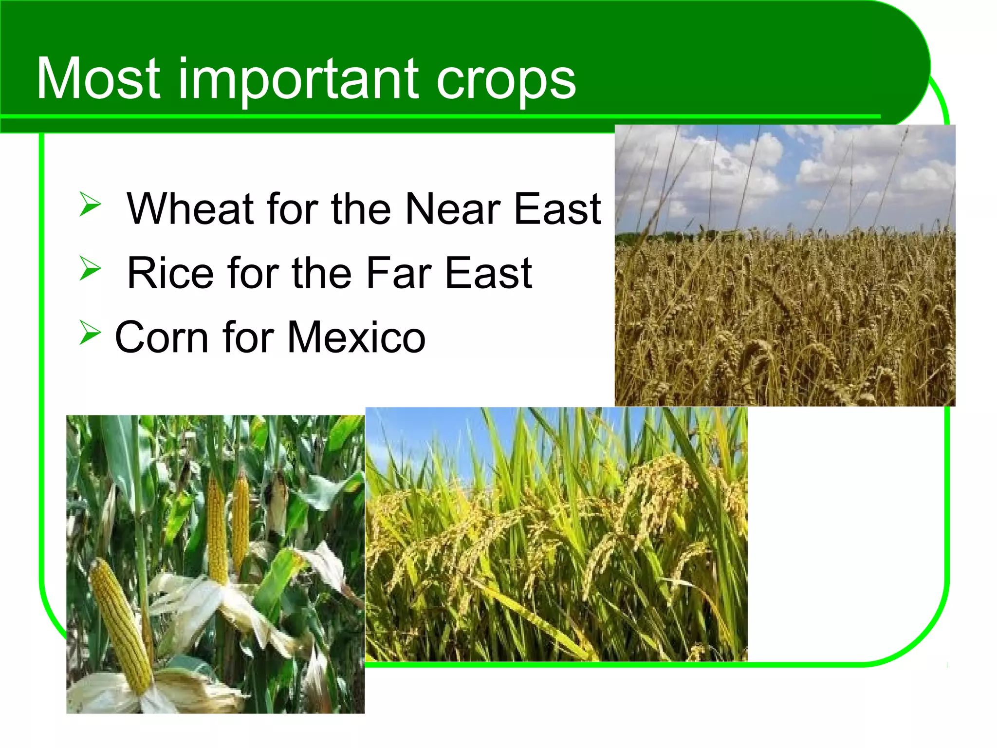 The Origin of Agriculture | PPT