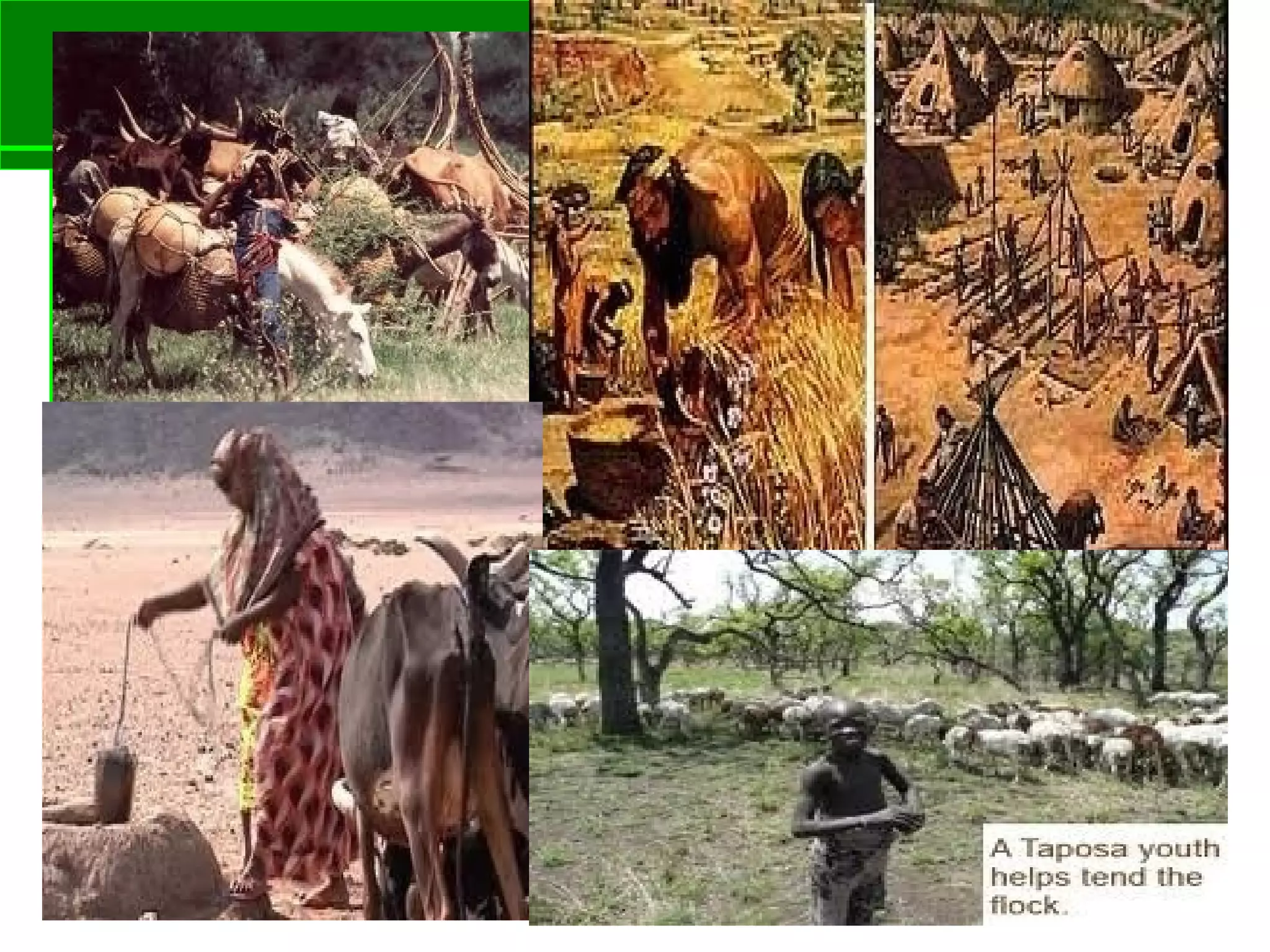 The Origin of Agriculture | PPT