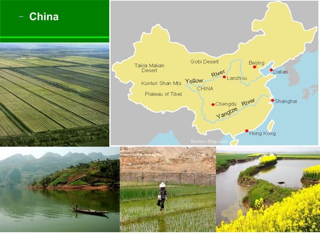 The Origin of Agriculture | PPT