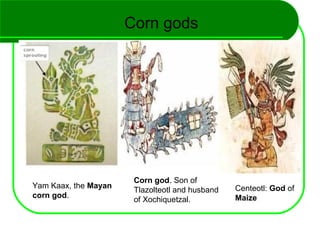 The Origin of Agriculture | PPT