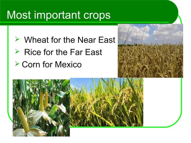 The Origin of Agriculture | PPT