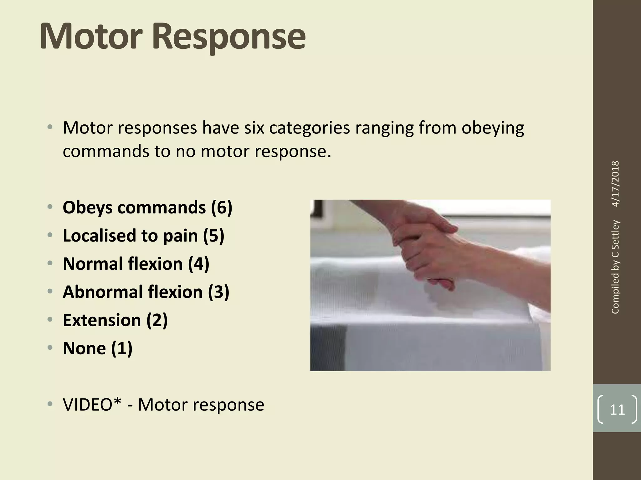 3 levels-of-consciousness-gcs | PDF