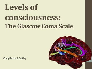 3 levels-of-consciousness-gcs | PDF