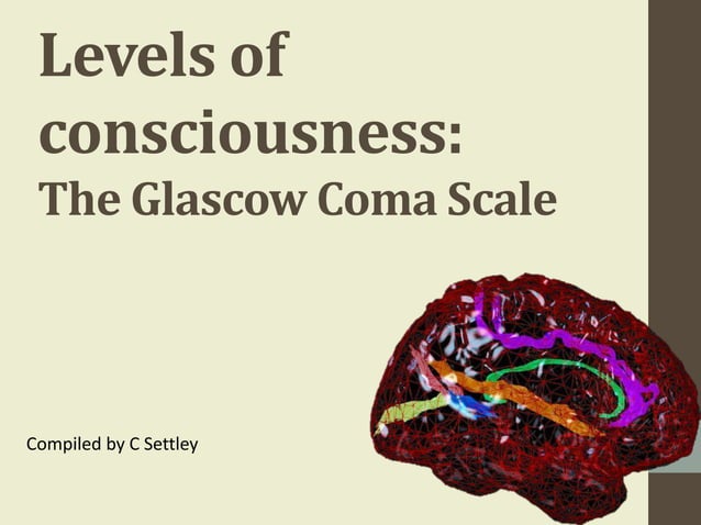 3 levels-of-consciousness-gcs | PDF
