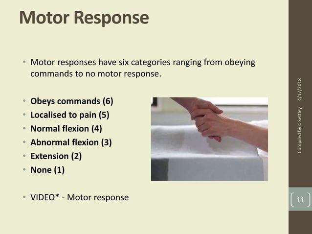 3 levels-of-consciousness-gcs | PDF