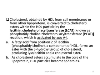 3 lipid transport jihs | PPT
