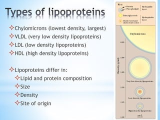3- Lipoprotein Metabolism-2018.pptx