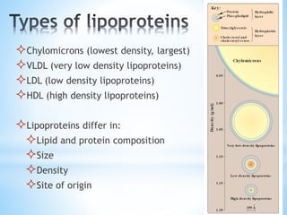 3- Lipoprotein Metabolism-2018.pptx