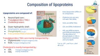 _3-Lipoprotein metabolism.pdf