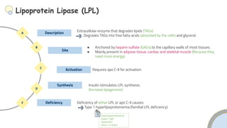3-Lipoprotein Metabolism, They are crucial for energy delivery ...