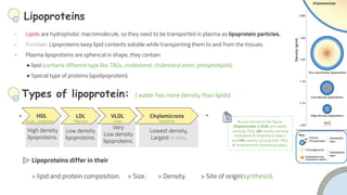 3-Lipoprotein Metabolism, They are crucial for energy delivery ...