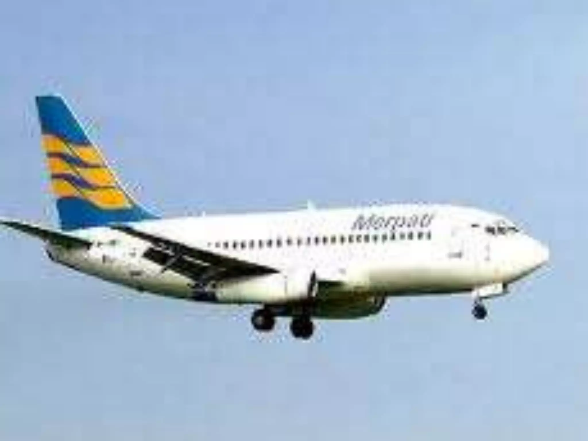 Lisa Rau: Social Media – The Awe, the Meme and the Dooce | PPTX ...