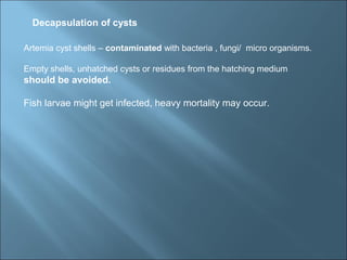 3...live feed 1. rotifer culture | PPT