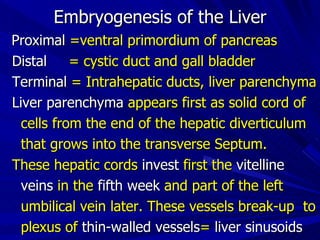 3 Liver Dr Fidel Copy | PPT | Medical Health