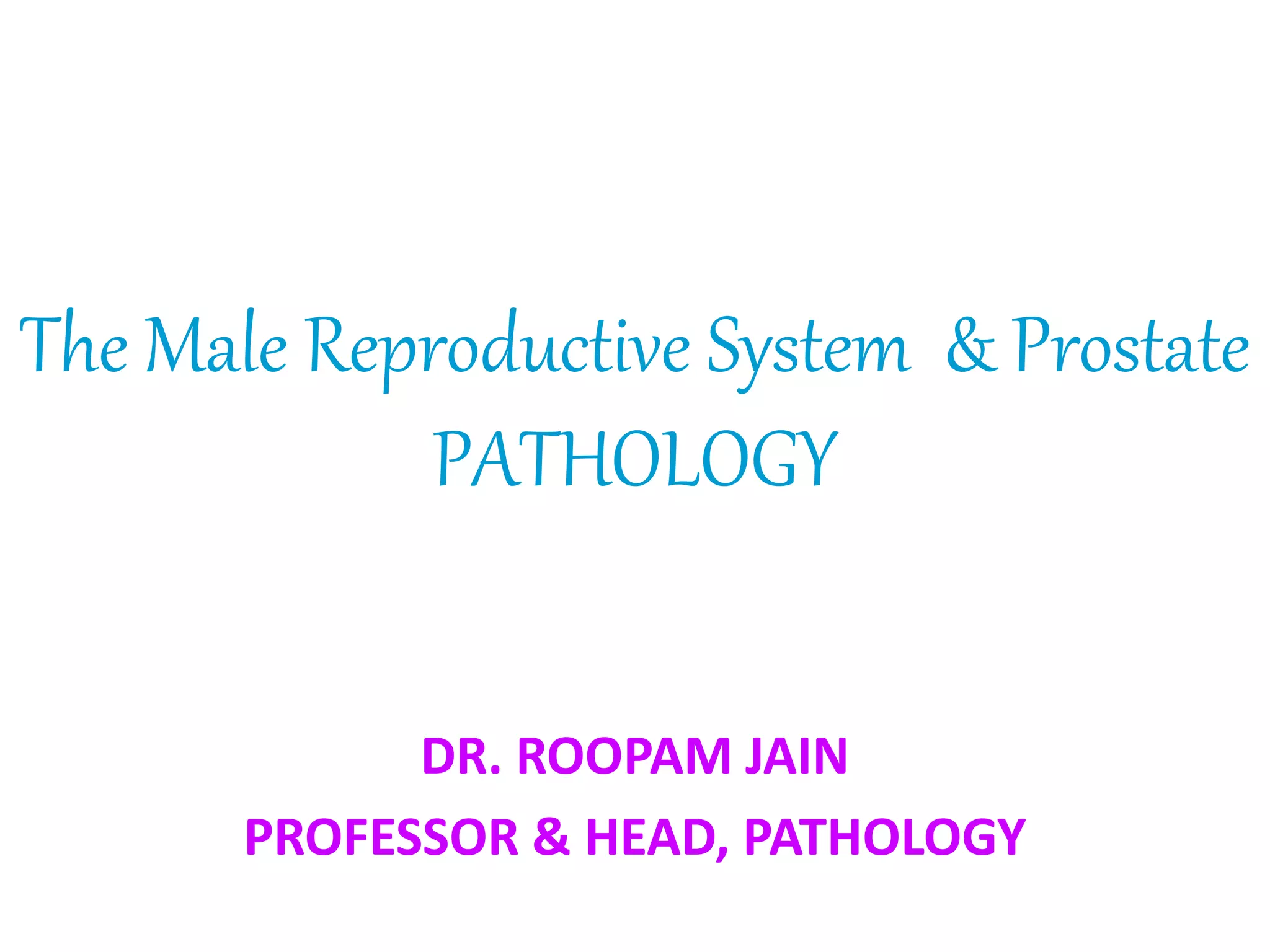 The Male Reproductive System & Prostate Pathology | PPTX