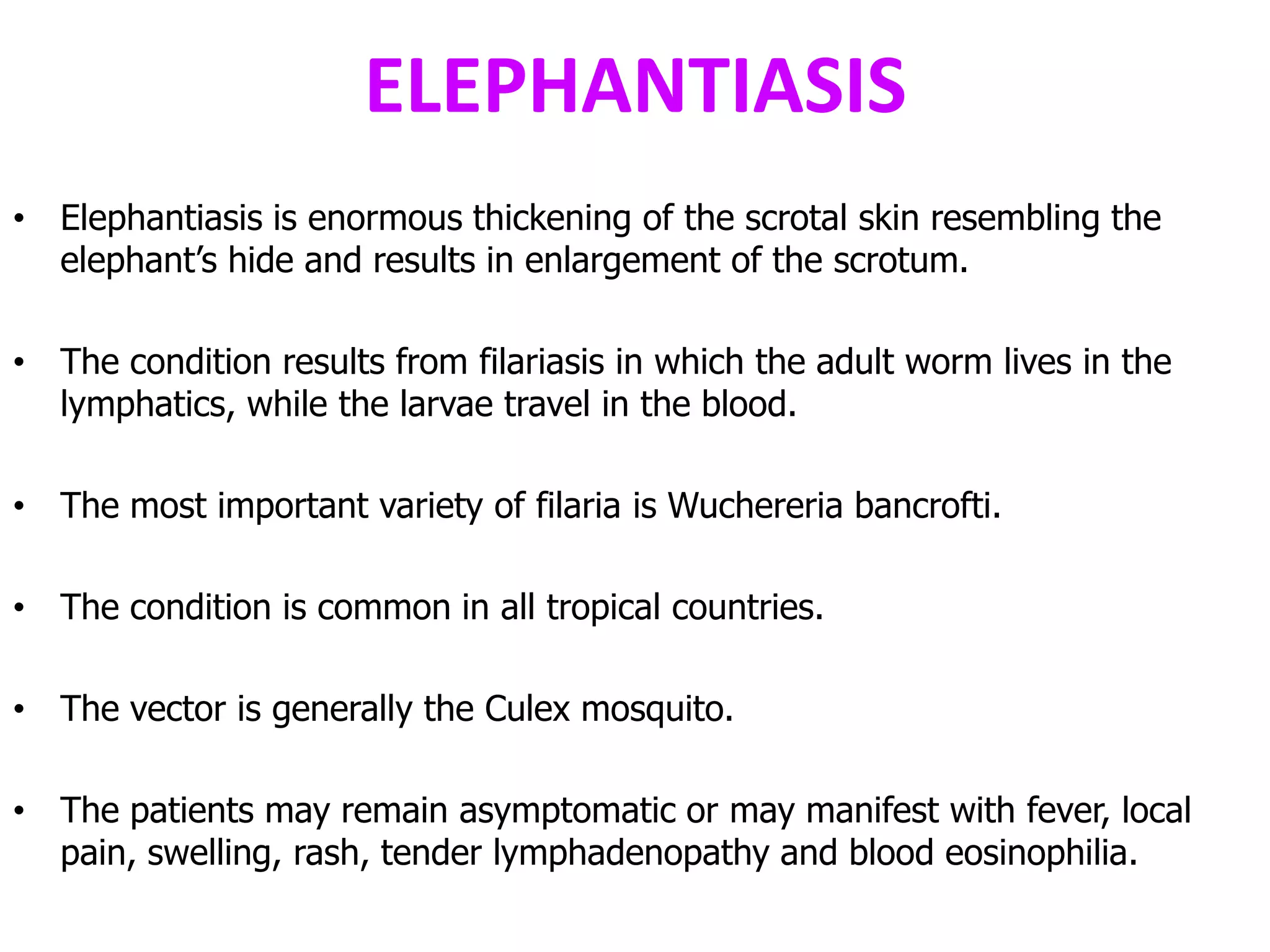 The Male Reproductive System & Prostate Pathology | PPTX