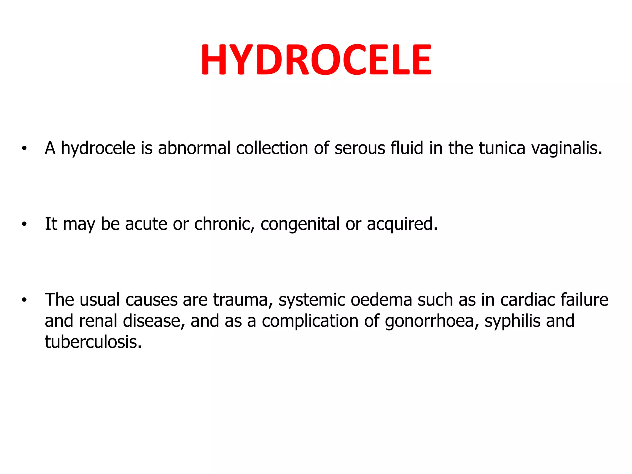 The Male Reproductive System & Prostate Pathology | PPTX