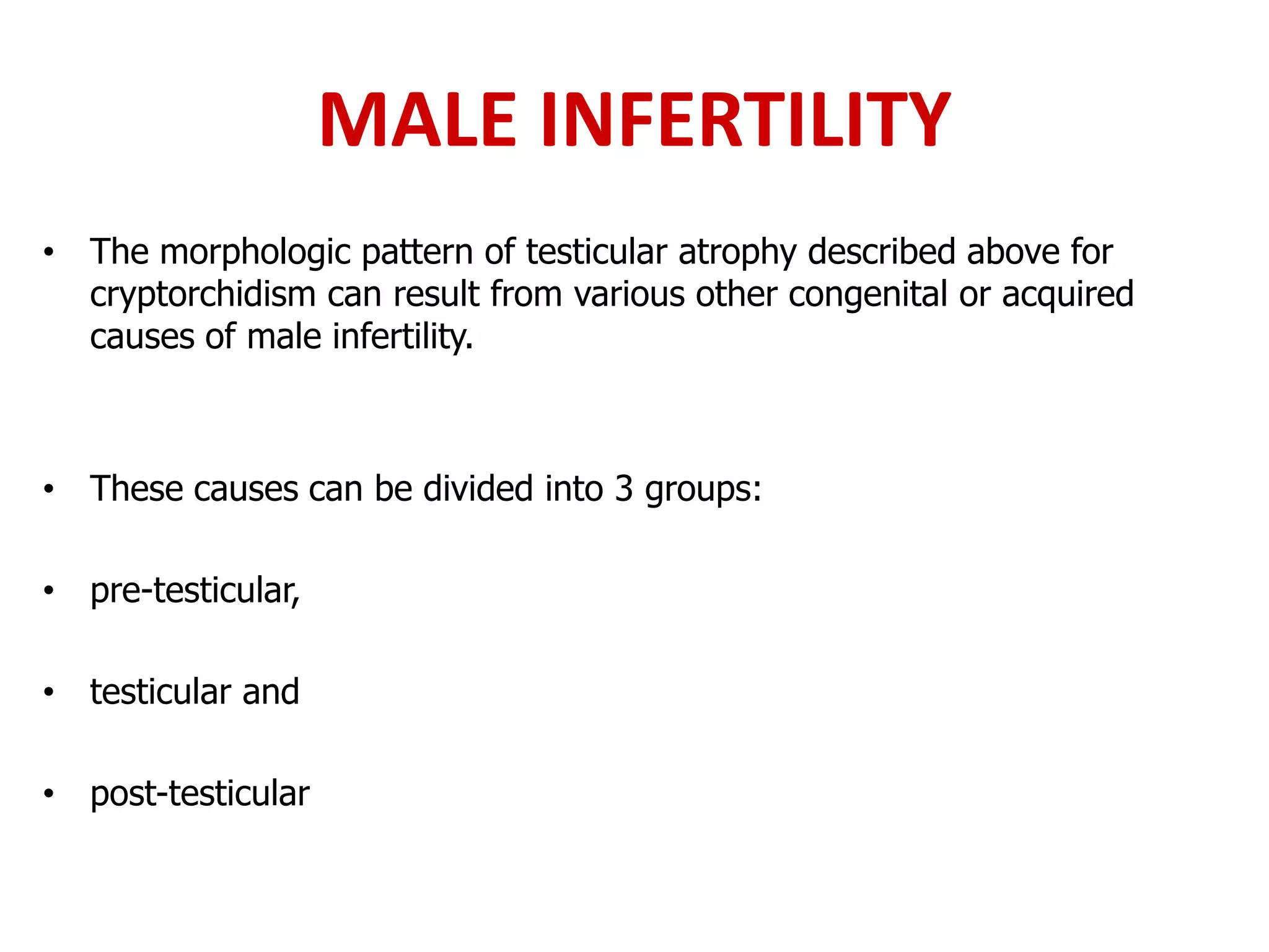 The Male Reproductive System & Prostate Pathology | PPTX