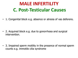The Male Reproductive System & Prostate Pathology | PPTX