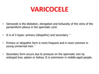 The Male Reproductive System & Prostate Pathology | PPTX