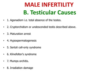 The Male Reproductive System & Prostate Pathology | PPTX