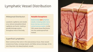 3- Lymphatic system and Thoracic Anatomy.pptx