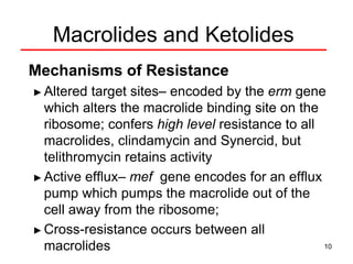 3-Macrolides.ppt
