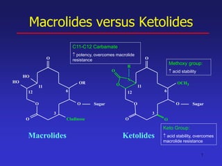 3-Macrolides.ppt