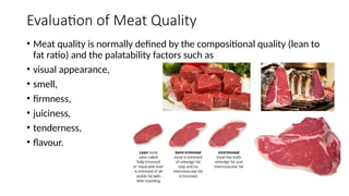 3-Meat Classification & Factors Effecting Meat Quality.pptx