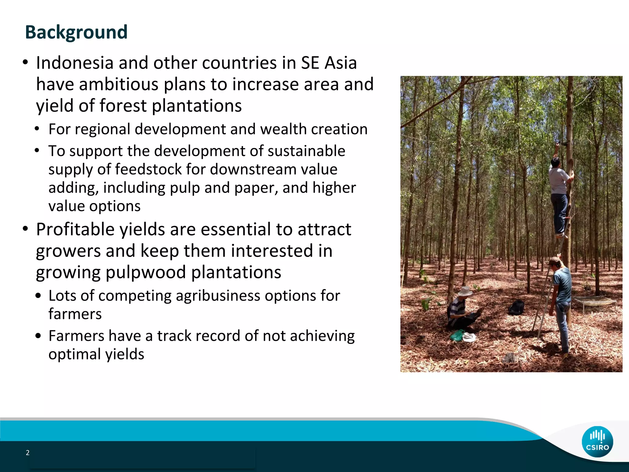 Smallholder engagement with short-rotation industrial plantation ...