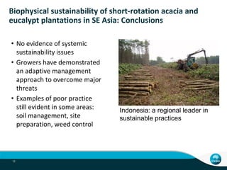 Smallholder engagement with short-rotation industrial plantation ...