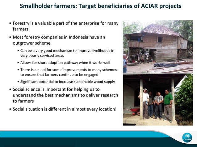 Smallholder engagement with short-rotation industrial plantation ...
