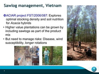 Smallholder engagement with short-rotation industrial plantation ...