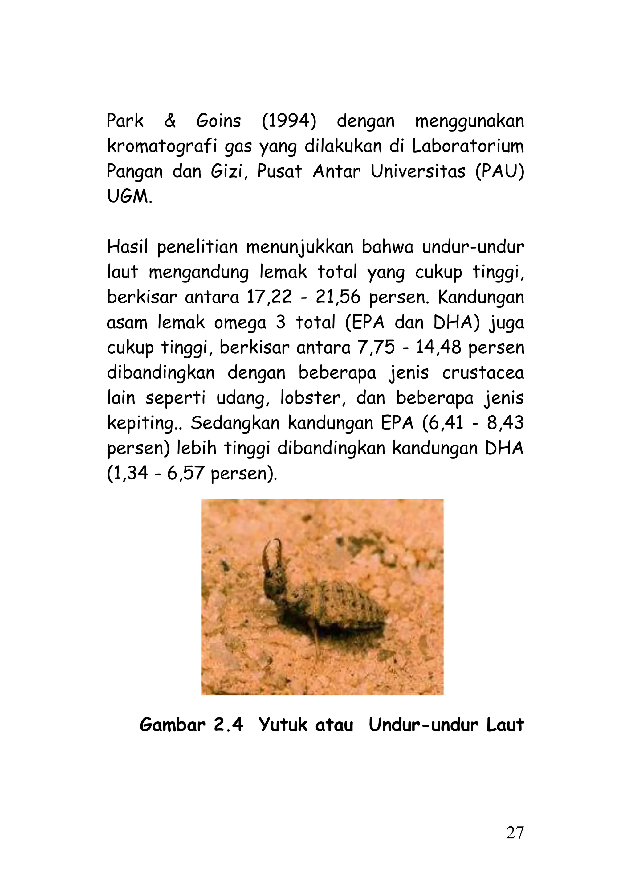 Mengenal Undur Undur | PDF