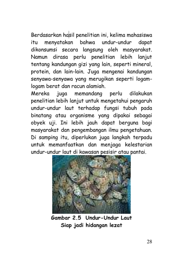 Mengenal Undur Undur | PDF