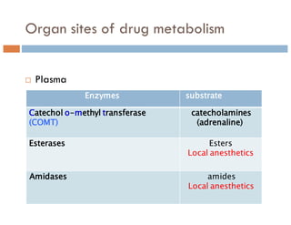3-Metabolism.pdf