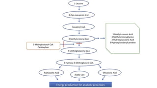 3 methylcrotonyl-co a carboxylase (3-mcc) deficiency | PPTX