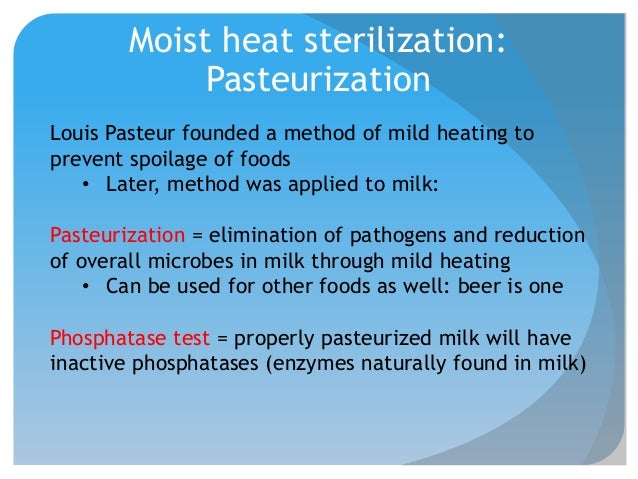 3 - Microbial Growth