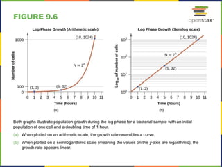 Microbiology - Microbial growth and genetics | PPTX