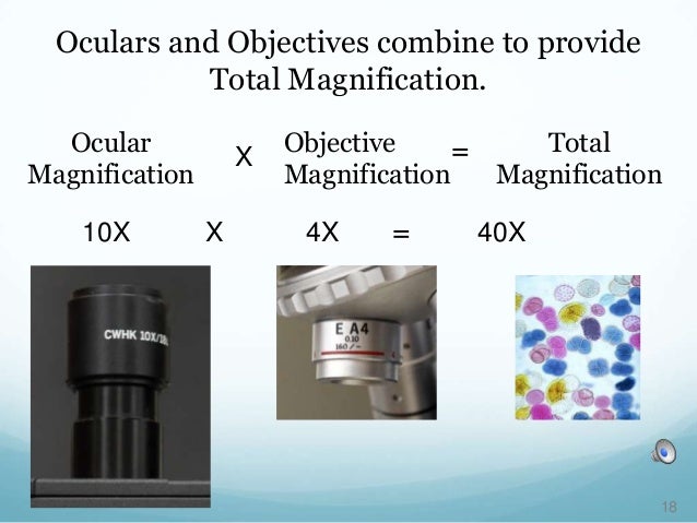 #3 Microscope (Lab Thursday 9/12/13)