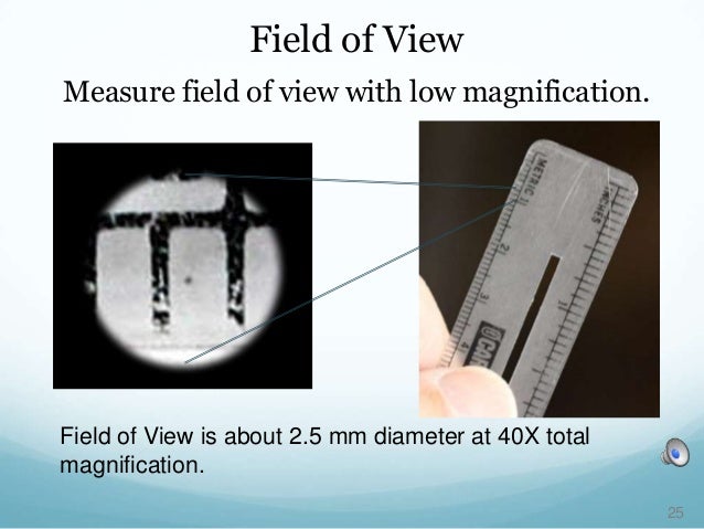 #3 Microscope (Lab Thursday 9/12/13)