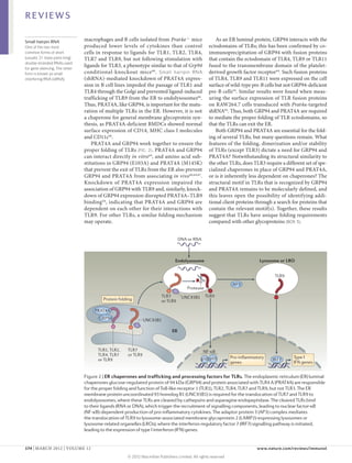 3 moléculas acessórias de toll | PDF